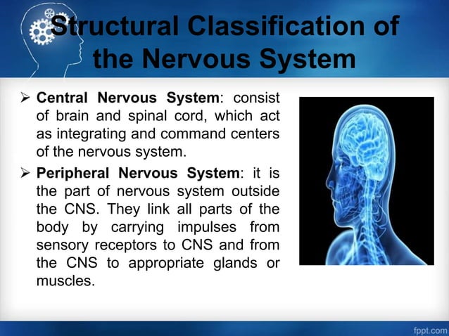 Introduction to cns pharmacology | PPTX