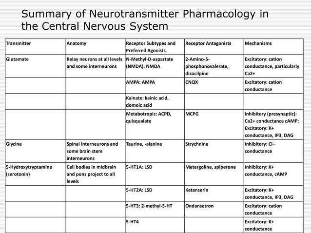 Introduction to CNS ppt.ppt