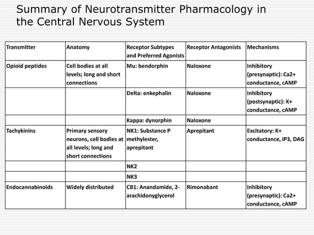 Introduction to CNS ppt.ppt