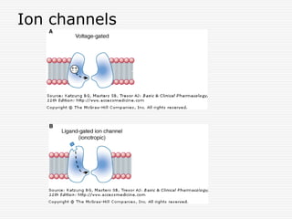 Introduction to CNS ppt.ppt