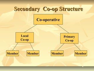 Introduction to co-operatives | PPT