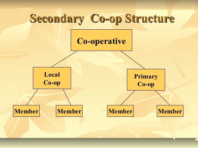 Introduction to co-operatives