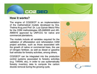 Introduction to CO2GEO software | PDF