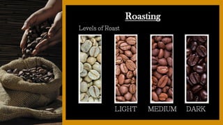 INTRODUCTION TO COFFEE.pptx