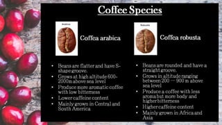 INTRODUCTION TO COFFEE.pptx