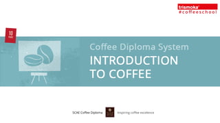 Coffee Diploma System: Introduction to coffee (1/2) | PDF