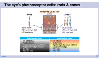 Introduction to Color Science for display engineer | PPT
