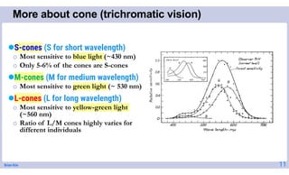 Introduction to Color Science for display engineer | PPT