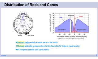 Introduction to Color Science for display engineer | PPT