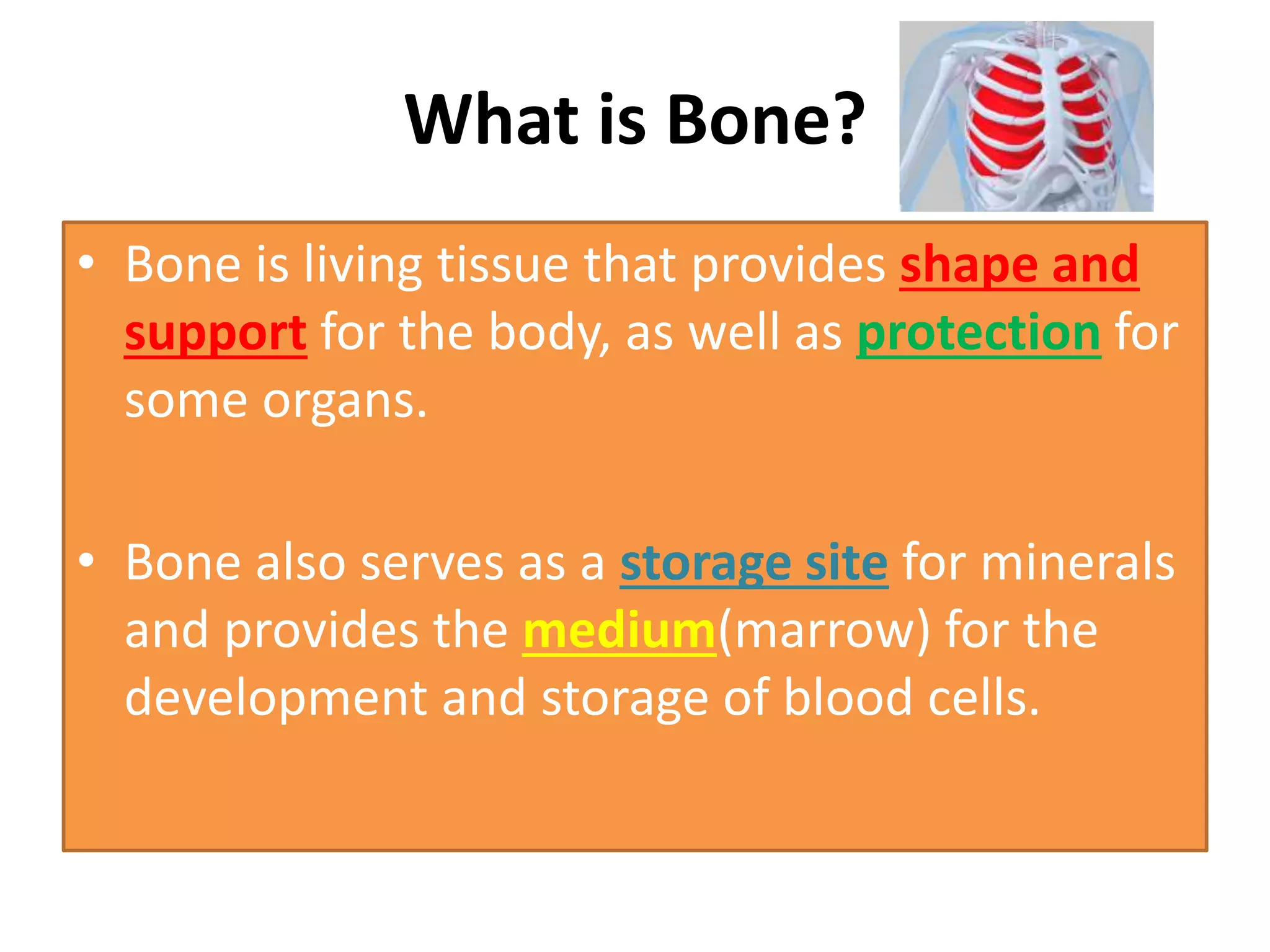 Introduction to Common Bone Disorders | PPTX