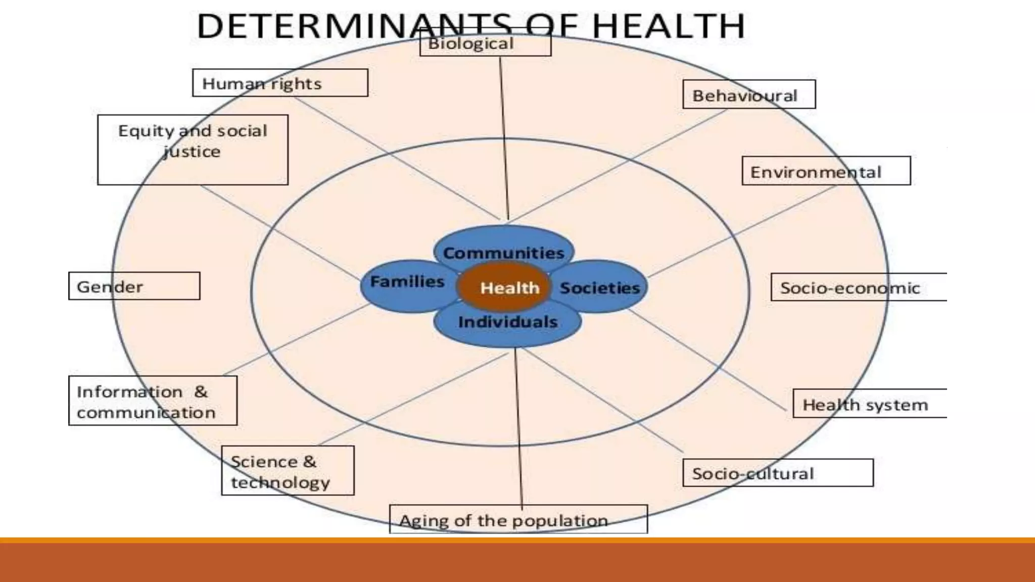 Introduction to community health nursing | PPTX