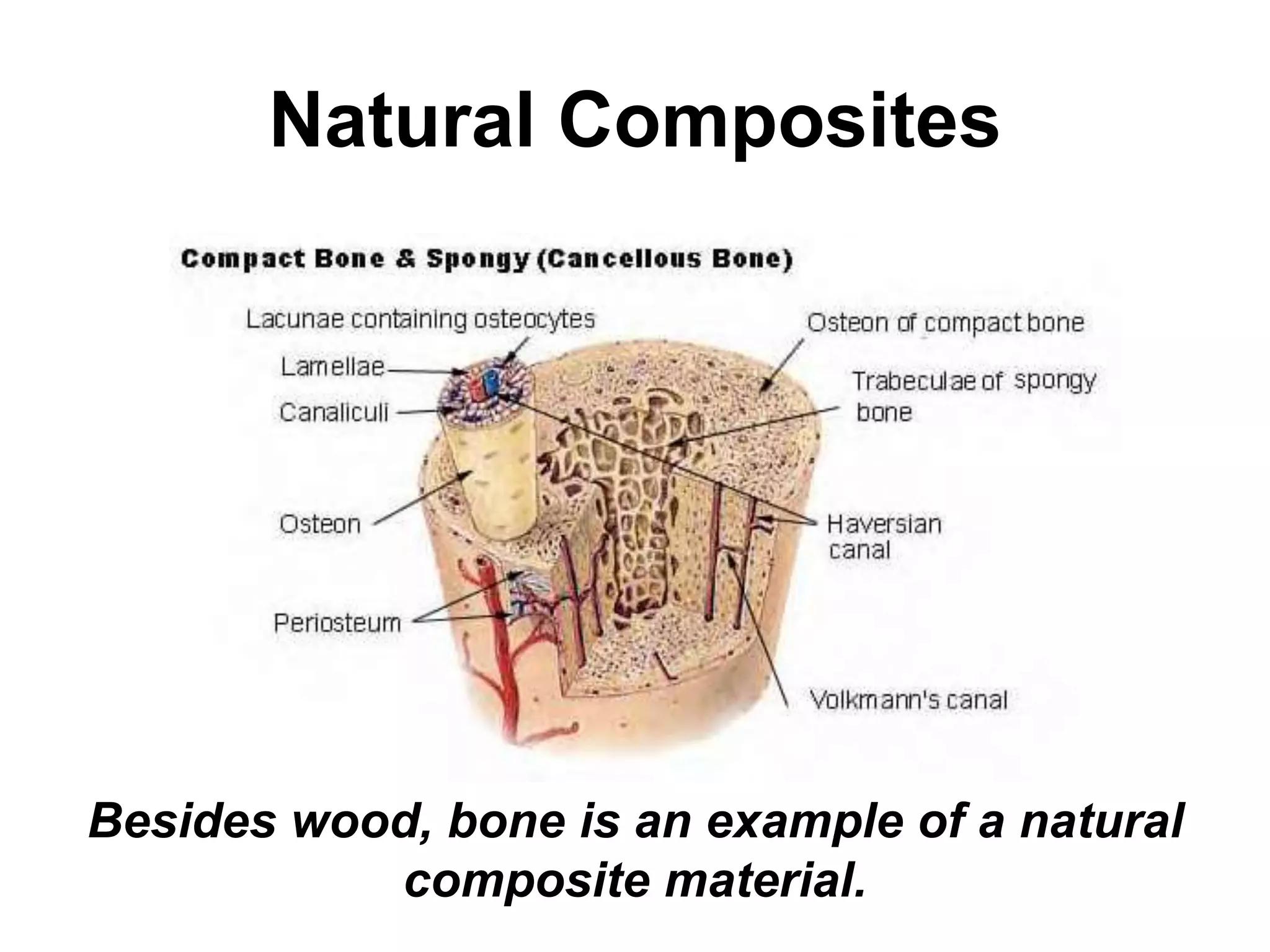 Introduction to Composites.ppt