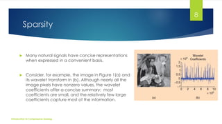 Introduction to compressive sensing | PDF | Physics | Science