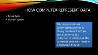 Computer and Data | PPTX