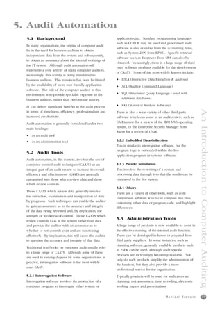 Computer Audit an Introductory | PDF