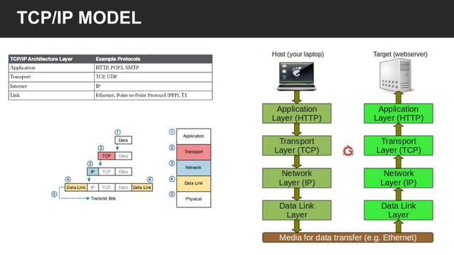 Introduction to Computer Networks and Network Security.pptx | Computer Networking | Computing