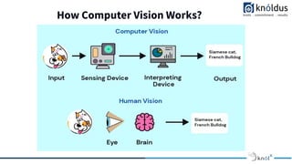 Introduction to Computer Vision.pdf