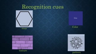 Introduction to computer vision and | PPTX