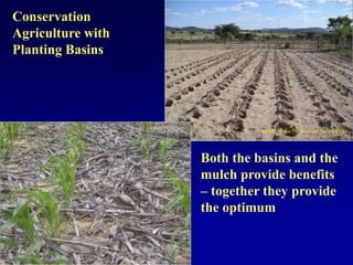 Introduction to Conservation Agriculture | PPTX