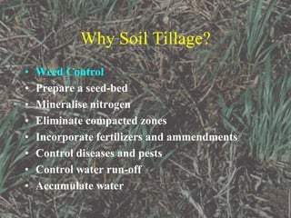 Introduction to Conservation Agriculture | PPTX