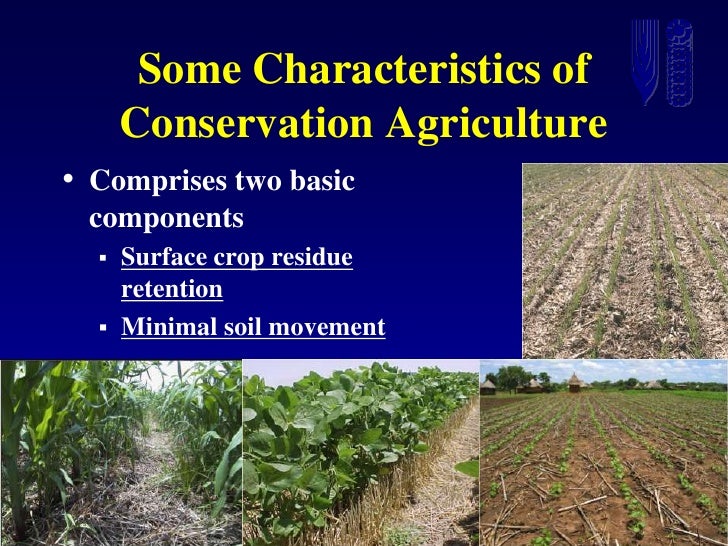 Introduction to Conservation Agriculture