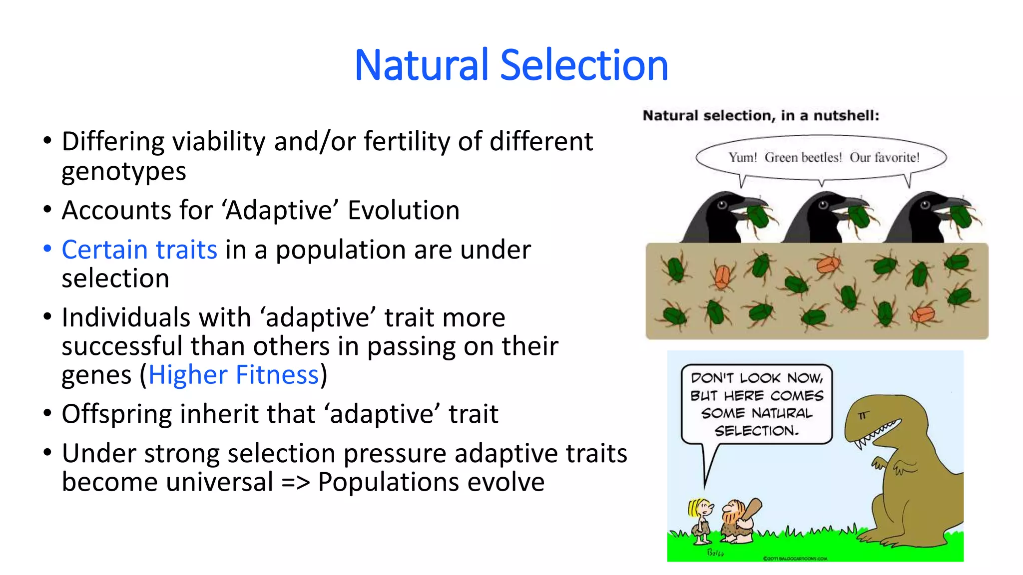 Introduction to conservation genetics and genomics | PPTX