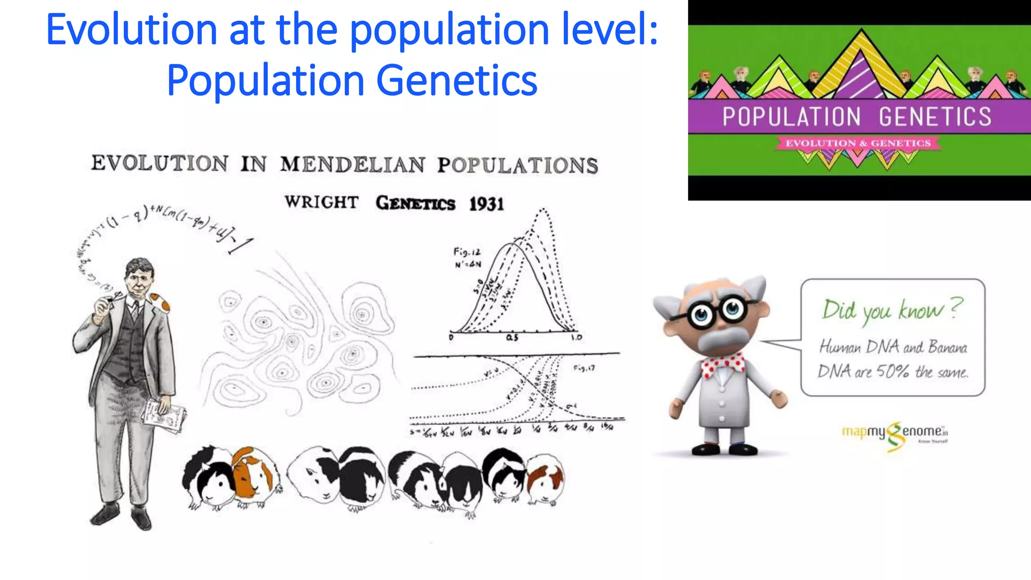 Introduction to conservation genetics and genomics | PPTX