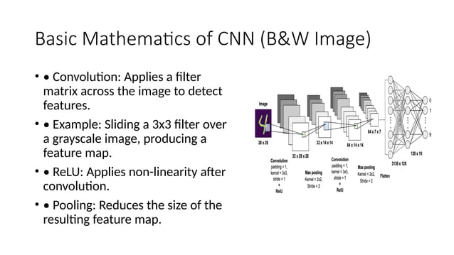 Introduction To Convolutional Neural Networks Cnnspptx Artificial
