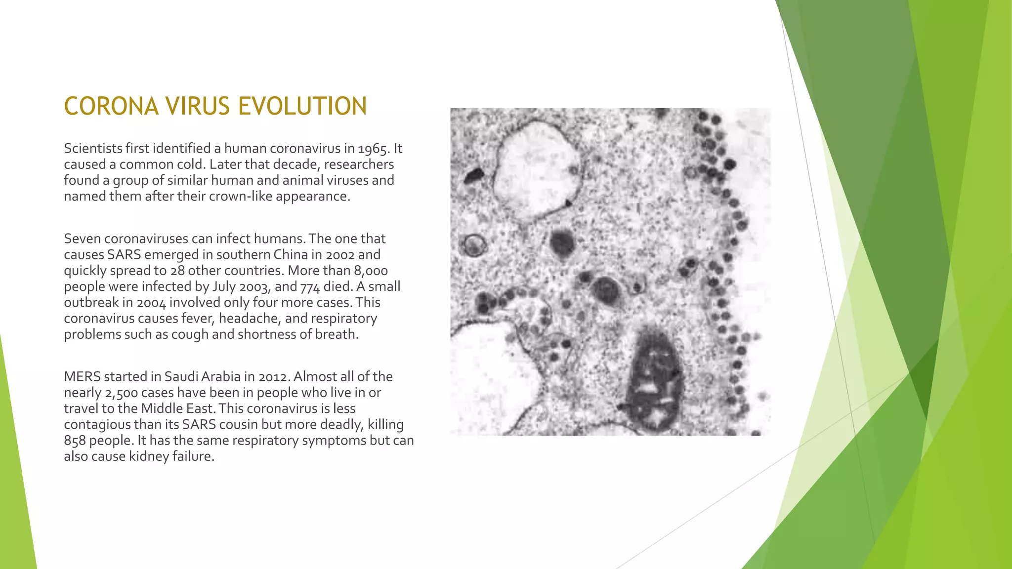 Introduction to coronavirus diseases | PPTX