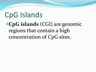 Introduction to CpG island power point presentation | PPTX