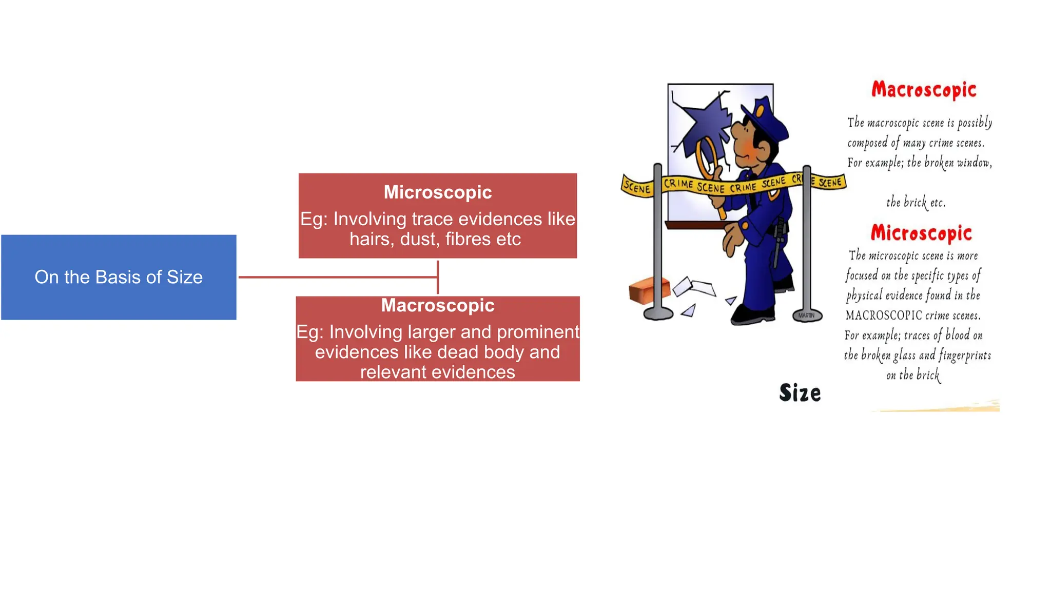 Introduction to Crime Scene Investigation.pptx