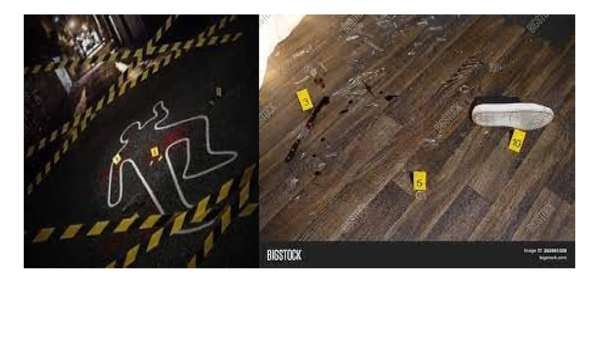 Introduction to Crime Scene Investigation.pptx