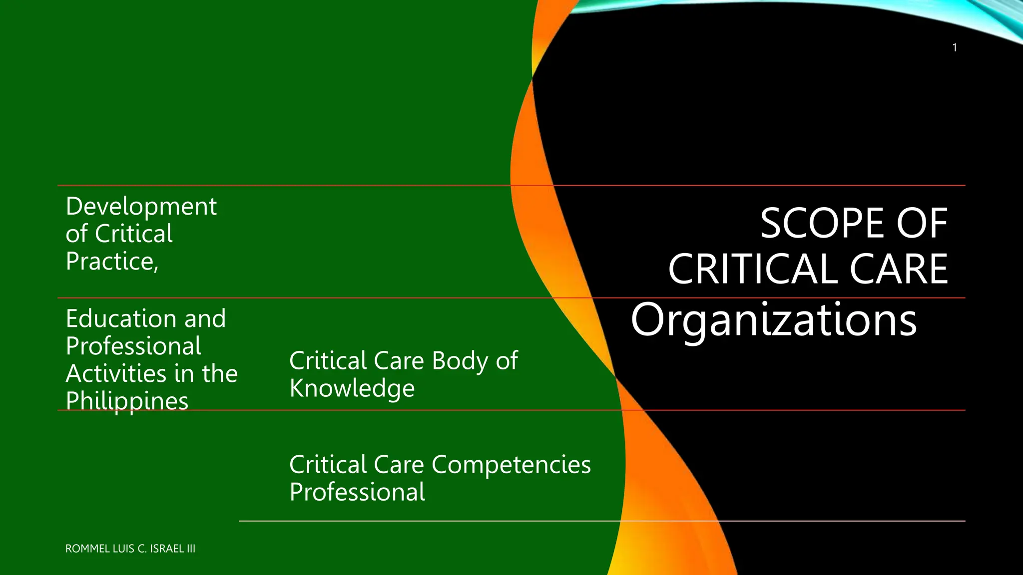 INTRODUCTION TO CRITICAL CARE NURSING PRACTICE | PPTX