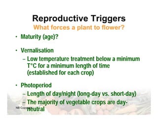 Introduction to crop growth & dev | PDF