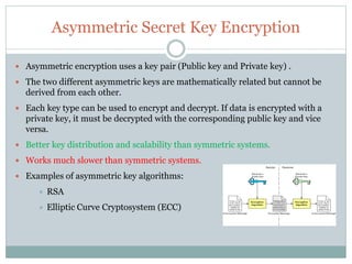 Introduction to Cryptography | PDF