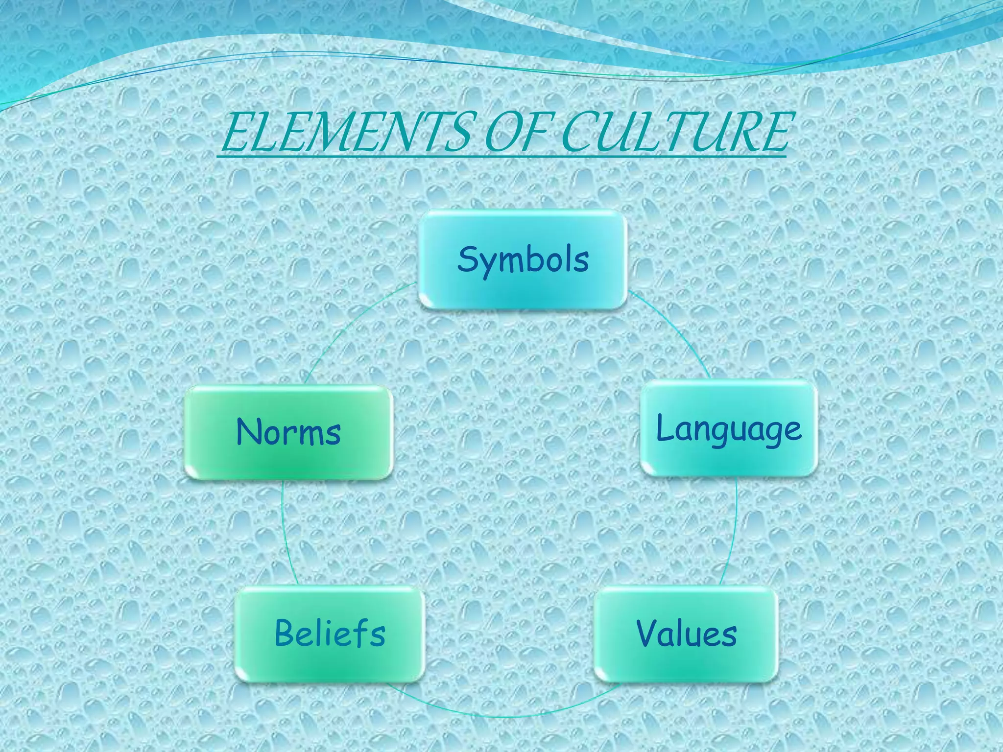 Introduction to culture | PPTX