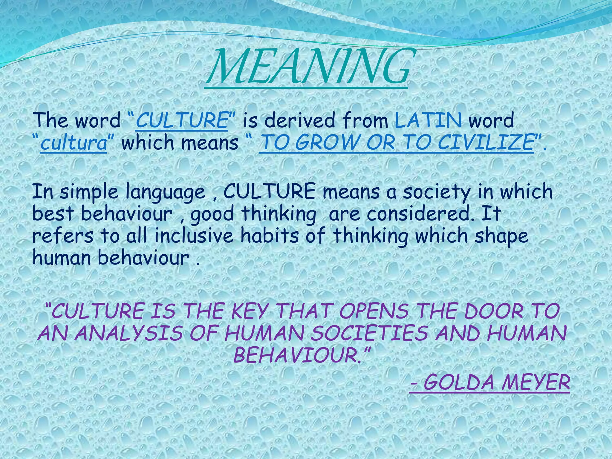 Introduction to culture | PPTX