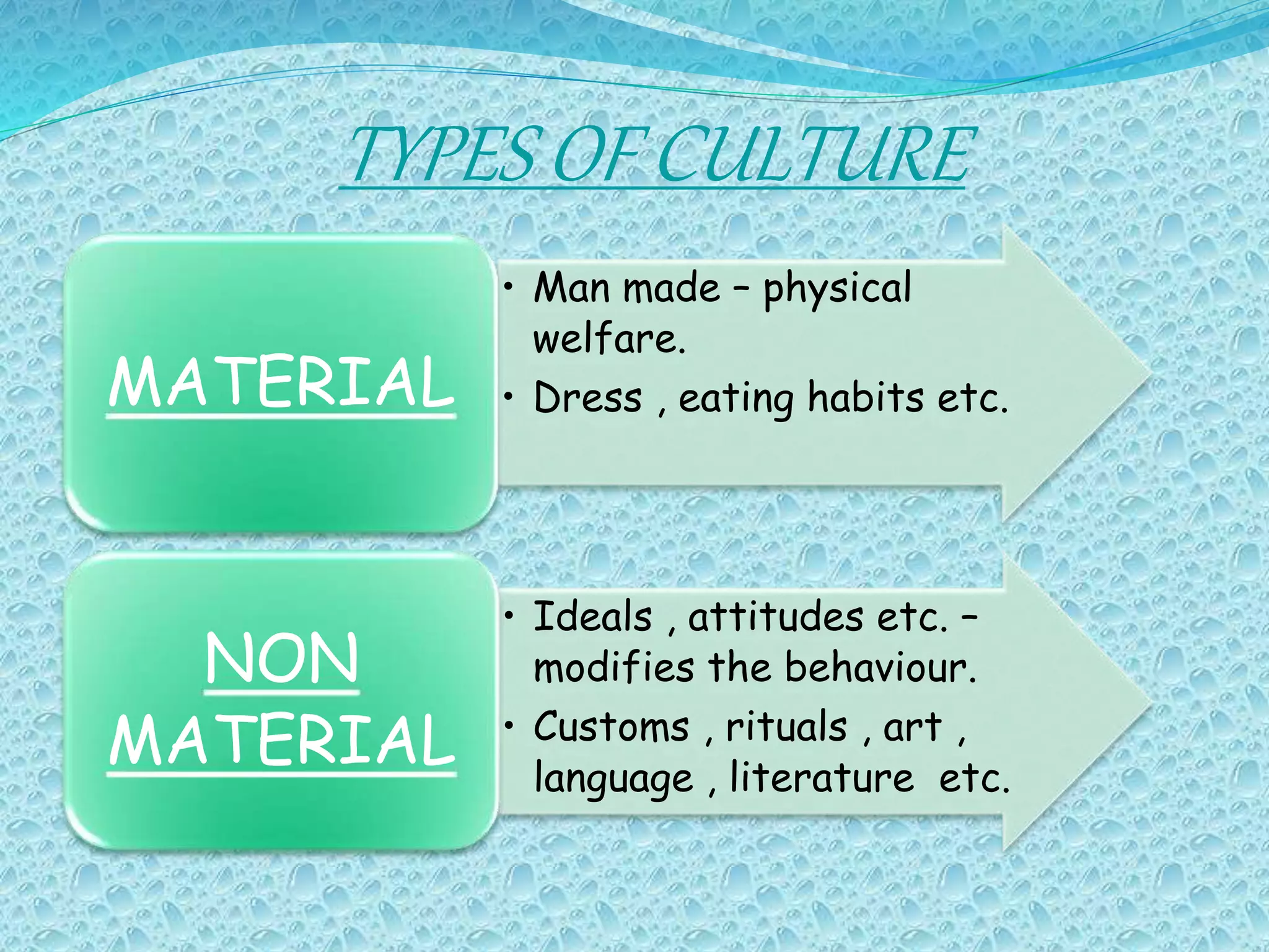 Introduction to culture | PPTX