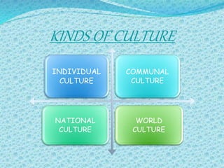 Introduction to culture | PPTX