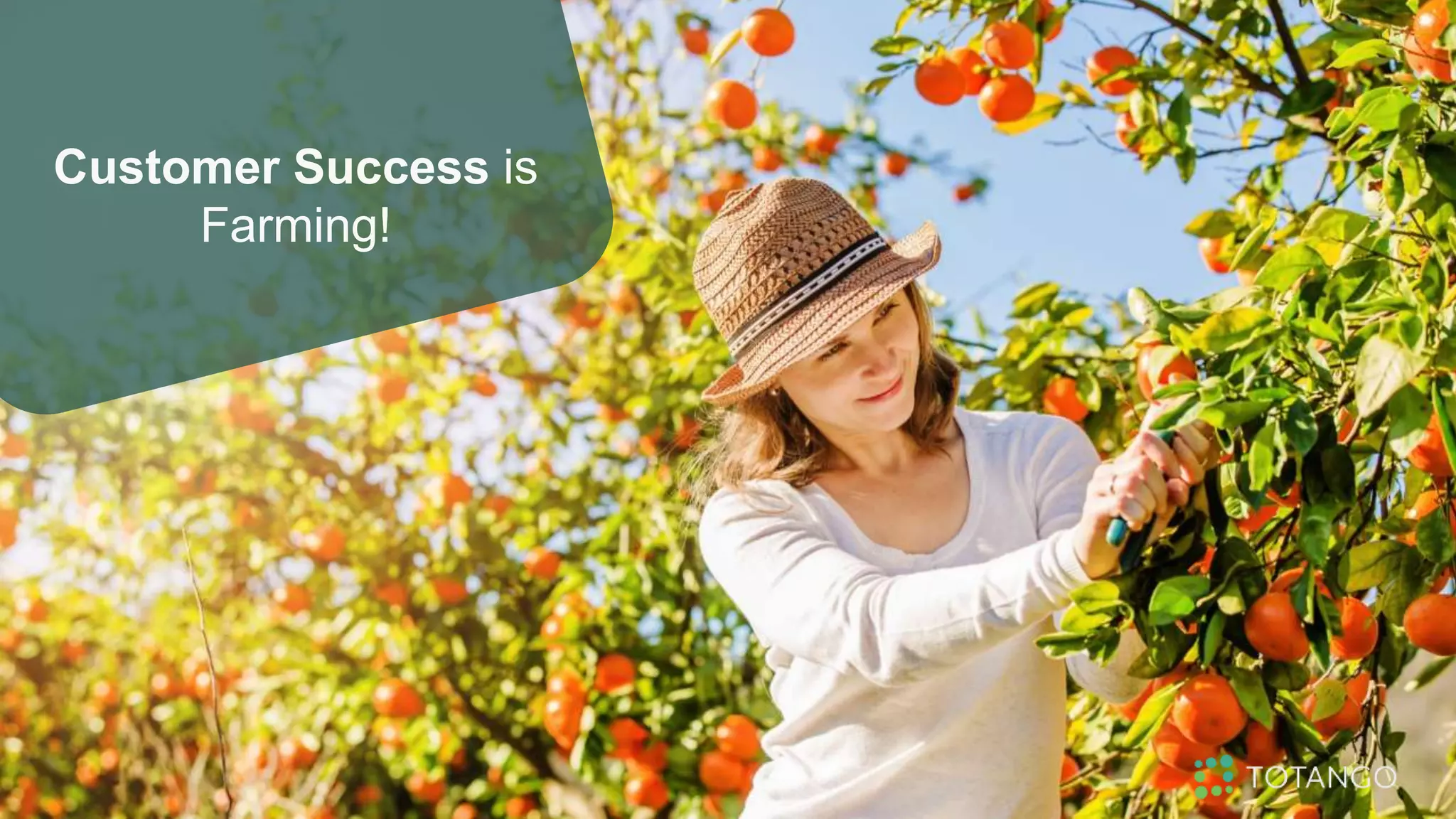 Introduction to customer success | PPTX