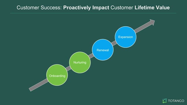 Introduction to customer success | PPTX | Business | Business and Finance