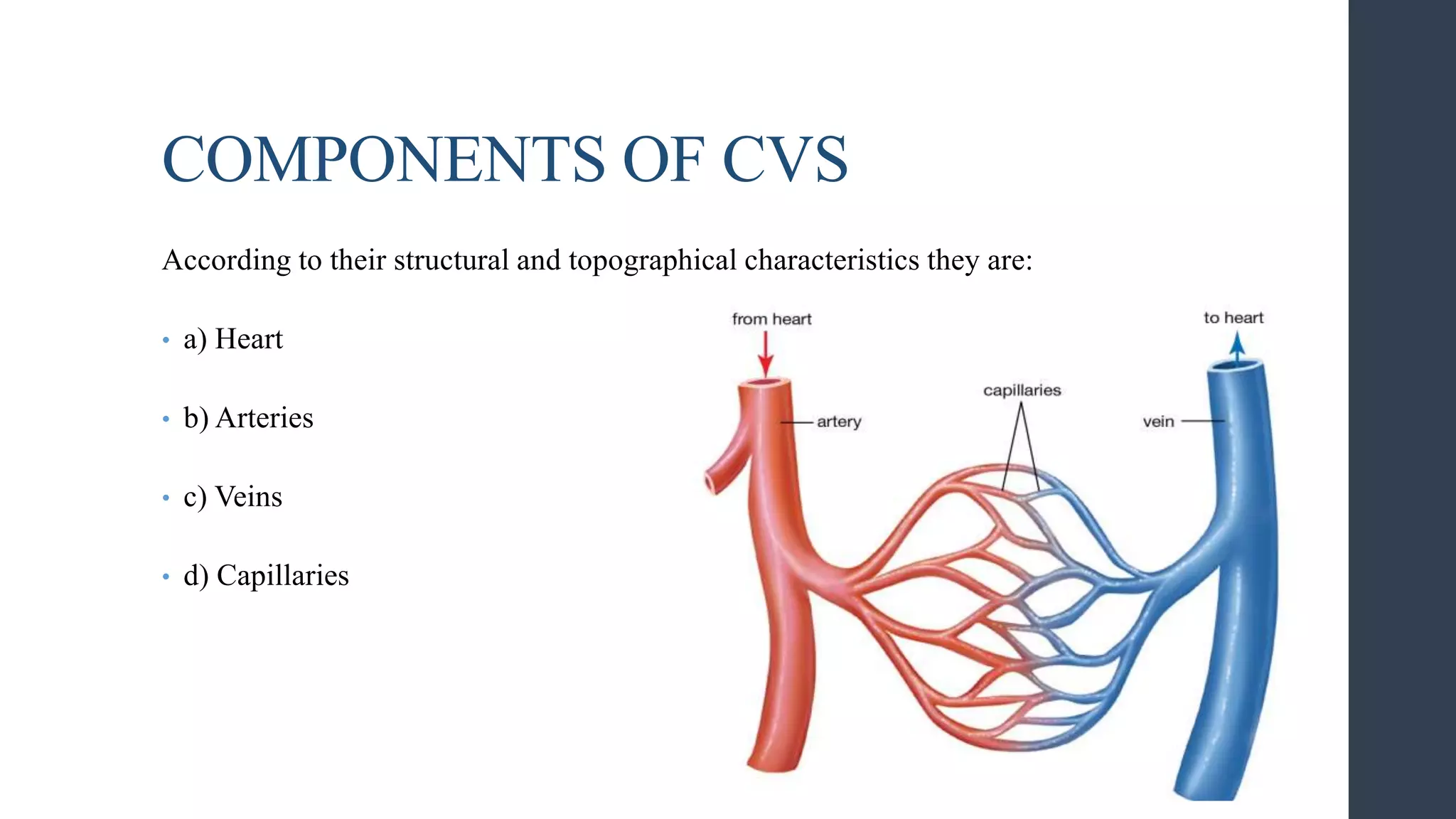 Introduction to cvs | PPT