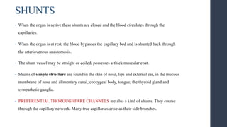 Introduction to cvs | PPTX