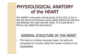 Introduction to CVS and Physiology of Heart‌.pptx
