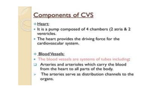 Introduction to CVS and Physiology of Heart‌.pptx