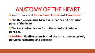 INTRODUCTION TO CVS PHYSIOLOGY-BSCN.pptx