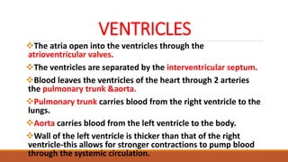 INTRODUCTION TO CVS PHYSIOLOGY-BSCN.pptx
