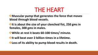 INTRODUCTION TO CVS PHYSIOLOGY-BSCN.pptx