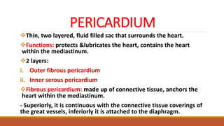 INTRODUCTION TO CVS PHYSIOLOGY-BSCN.pptx