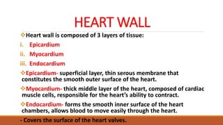 INTRODUCTION TO CVS PHYSIOLOGY-BSCN.pptx